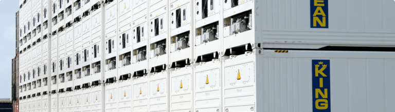 Freight Transportation Services | King Ocean Services